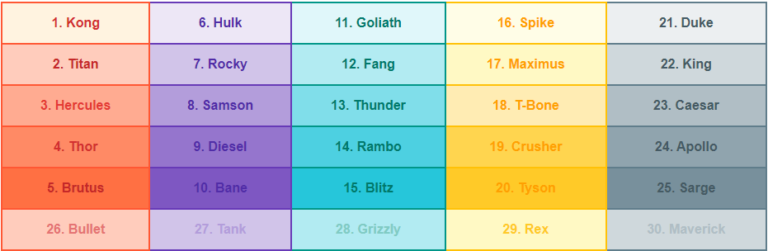 Top 300+ Funny Names for Monkeys: Creative Monkey Name Ideas