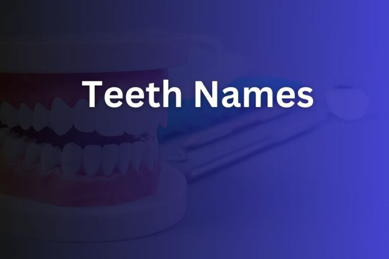 400 Funny Bard Names: Creative, Hilarious, And Witty Names For Your ...